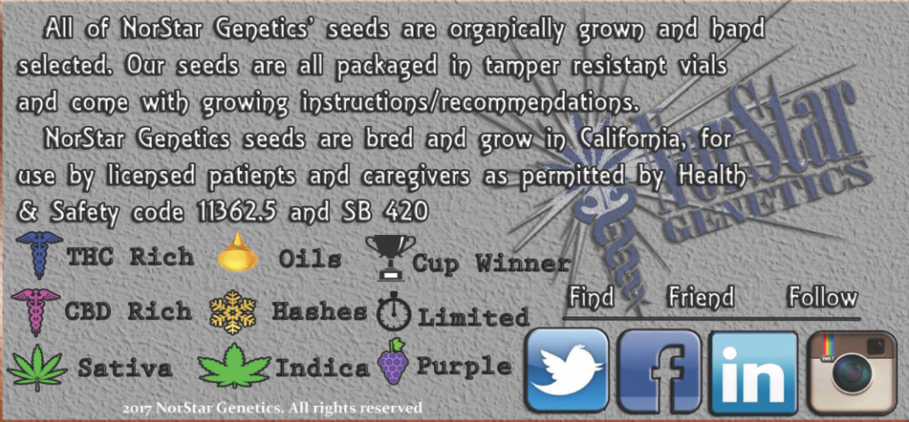 Banana Snaps – Regular – Southern Oregon Seeds